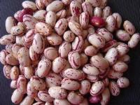 China Multifunction Newest Software Kidney Beans Color Sorting Machine Beans Color Sorter for sale