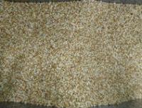 China Pine Nut Color Sorter Pine Nuts Processing Grading Machine For Pine Nuts Separator for sale
