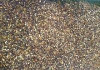 China Pine Nut Color Sorter Pine Nuts Processing Grading Machine For Pine Nuts Separator for sale