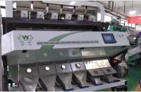 China Multi-Function 384 Channels PVC ABS PP Pet Flakes Plastic Colour Color Sorter Plastic Color Sorting Machine for sale