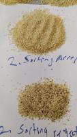 China Wenyao High Capacity Sesame Seeds Color Sorter Sorting Separator Machine for sale