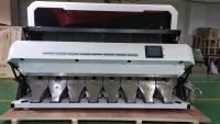China Wenyao Sunflower Seed Color Sorter With High Capacity for sale