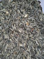China High Capacity Sunflower Seeds Color Sorter Sorting Separator Machine for sale
