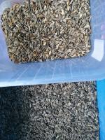 China High Capacity Sunflower Seeds Color Sorter Sorting Separator Machine for sale