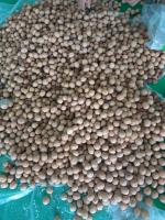 China Automatic Walnut Cashew Sorting Machine  Processing Machine RGB Color Sorter for sale