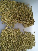 China Cardamom Color Sorting Machine Beans Color Sorter Cardamom Processing Line for sale