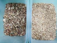 China Fried Onion Vegetable Sorting Machine High Resolution CCD Image Acquisition for sale