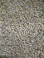 China High Capacity Coriander Seed Color Sorter Long Lifetime LED Light for sale