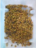 China WENYAO 2 T/H Raisin Sorting Machine Iso9001 Certificates for sale