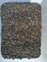China High Capacity Coriander Seed Color Sorter Long Lifetime LED Light for sale