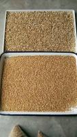 China High Throughput 8 Chutes Wheat Color Sorter , CCD Wheat Sorting Machine for sale