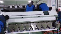China High Throughput 8 Chutes Wheat Color Sorter , CCD Wheat Sorting Machine for sale