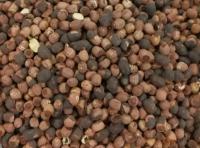 China High Throughput Lotus Seeds Color Sorter CCD Camera 512 Channels for sale