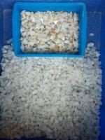China High Accuracy Quartz Stone Color Sorter With RGB Nir Sensor for sale