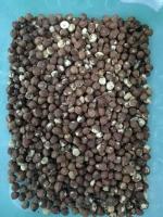 China Multi Functional Nuts Color Sorter , 6 Chute Hazelnut Sorter 99.99 Accuracy for sale