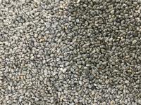 China 512 Channels 8 Chutes Chia Seed Color Sorter With RGB Camera for sale