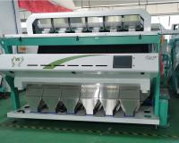 China 220V 50HZ Pine Nuts Color Sorter With 4096 PIXEL CCD Sensor for sale