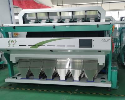 China 220V 50HZ Pine Nuts Color Sorter With 4096 PIXEL CCD Sensor for sale