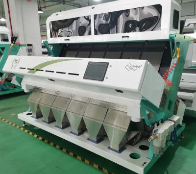 China 384 Channels Coriander Seeds Color Sorter Toshiba CCD sensor for sale