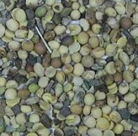 China Intelligent Algorithm Soybean Sorting Machine 220V 50HZ for sale