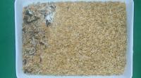 China Dried Fish Seafood Color Sorter With Wifi Remote Control for sale
