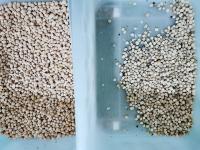 China 5t/H Chickpea Separator Machine Stainless 304 food grade Hopper for sale