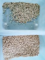 China 5t/H Chickpea Separator Machine Stainless 304 food grade Hopper for sale
