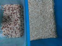 China Newest Technology Nuts Color Sorter Peanut Color Separation Machine With Best Service for sale