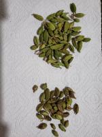 China 8 chutes Wenyao Color Sorter , Cardamom Sorting Machine ISO9001 Certificate for sale
