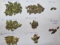 China 512 Channels Beans Color Sorter , 8 chutes Cardamom Sorting Machine WIFI Control for sale
