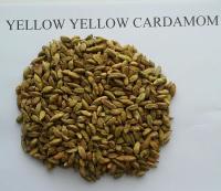 China 512 Channels Beans Color Sorter , 8 chutes Cardamom Sorting Machine WIFI Control for sale