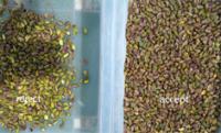 China Conveyor Belt Good Price Color Sorter Machine For Pistachio Sorting Grading Equipment for sale
