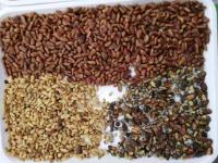 China CE Certificated Nuts Color Sorter Grading Machine For Pine Nut Pistachio Walnut With Good Price for sale