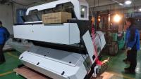 China Automatic Computing Garlic Grading Machine 5 Chutes 12 inch Humanized display for sale