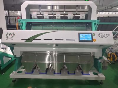 China Long Lifetime Peeled Garlic Sorting Machine 4000kg/h high Throughput for sale