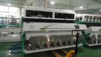 China 10t/h Wenyao Color Sorter , Lentil Mung Dal Color Sorter for sale