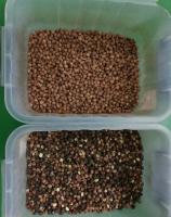 China Long Lifetime Lotus Seeds Color Sorter With 5400Pixel CCD Image Acquisition System for sale