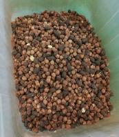 China Long Lifetime Lotus Seeds Color Sorter With 5400Pixel CCD Image Acquisition System for sale