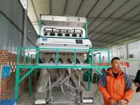 China Yellow Lentils Beans Color Sorter Taiwan Meanwell Power Source for sale