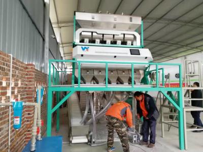China Yellow Lentils Beans Color Sorter Taiwan Meanwell Power Source for sale