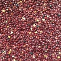 China Red Beans Color Sorter With High Pixels CCD Camera 2 years Warranty for sale