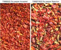 China Wenyao Heavy Duty Intelligent Color Sorter Machine with RGB CCD Camera for Chili Pepper Garlic Sorting and 1000-1500 kg/h Output with Wifi Remote Control for sale