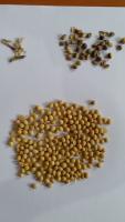 China High Capacity Broad Kidney Beans Color Sorter with RGB CCD camera for sale