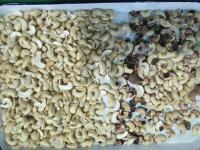 China Full Automatic Mini Color Sorter , Coconut Cashew Nut Sorting Machine for sale
