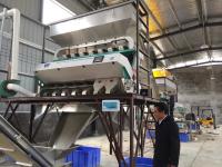 China 7 Chutes Quinoa Oat Grain Color Sorter For Separating White Color for sale