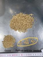 China High Sorting Accuracy Grain Sorter Machine Wifi remote control for sale