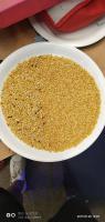 China Chute Type Red Lentils Grain Sorter Machine With 12 Inch Touch Screen for sale