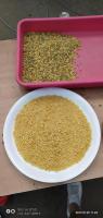 China Chute Type Red Lentils Grain Sorter Machine With 12 Inch Touch Screen for sale