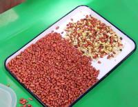 China Peanut Nuts Color Sorter , Automatic CCD Color Sorter Taiwan Meanwell Power for sale