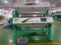 China 2 Layers Tea Color Sorter Machine Japan Toshiba Sensor for sale